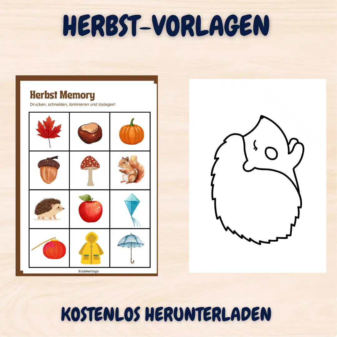 🍂 Kostenlose Herbst-Vorlagen (Memory + Igel-Vorlage)🦔🍁