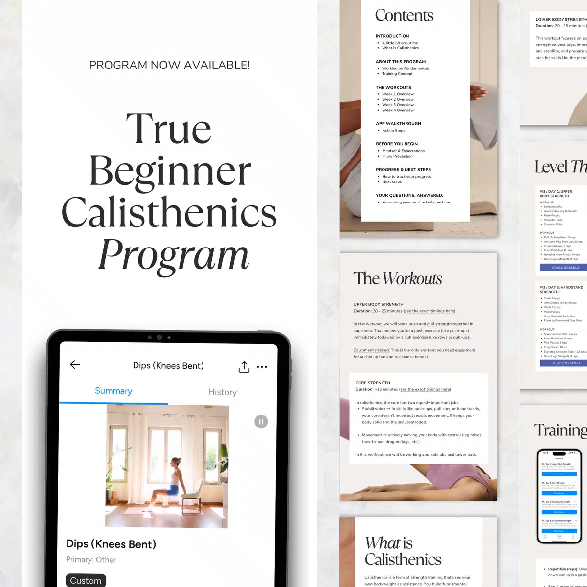 True Beginner Calisthenics Program - Lifetime Access