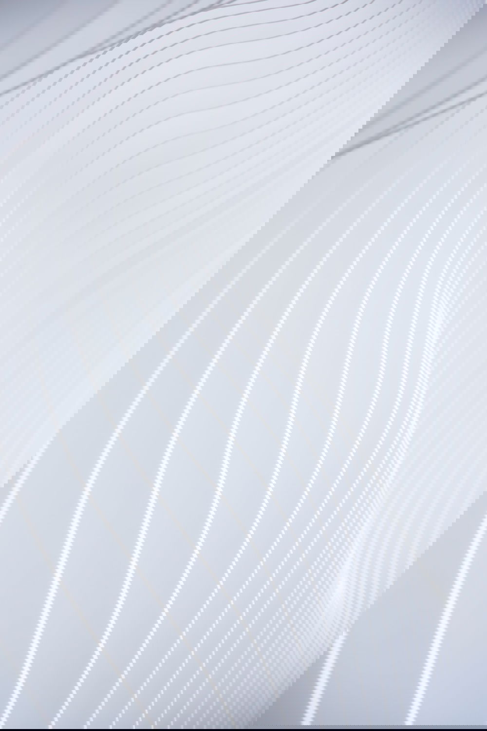 Welcome to the Tentary sample shop